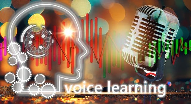 Voice Robot: Build Your Own Interactive Automation System - Technology ...